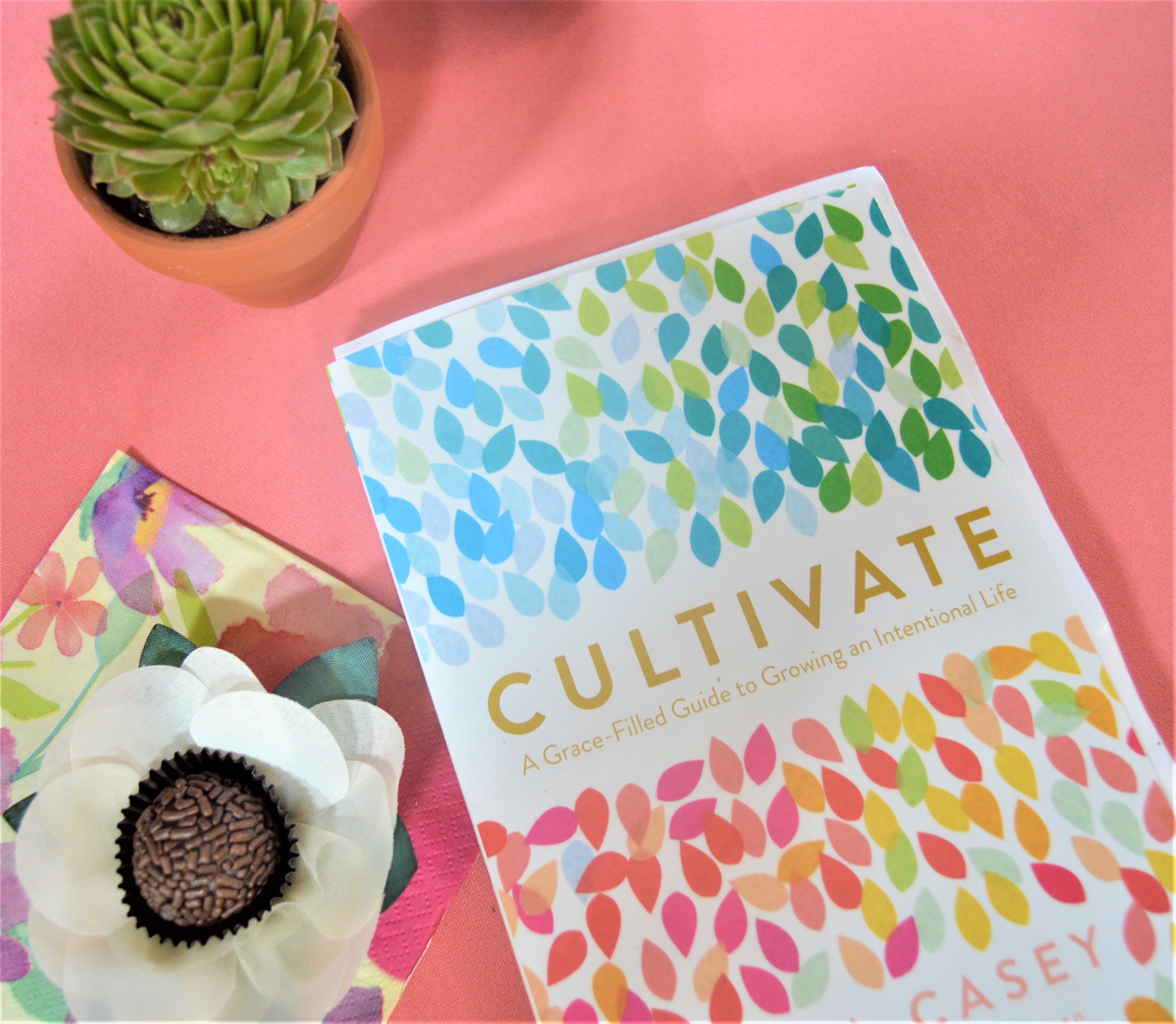 MaggieRoyce.com | The Cultivate Book Launch! - Maggie Royce